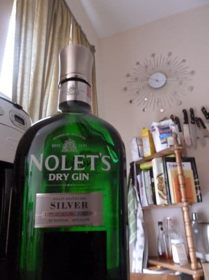 Nolet Silver Gin Review and Rating | the GIN is IN