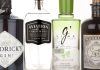 What is New American or New Western Gin? | by the GIN is IN