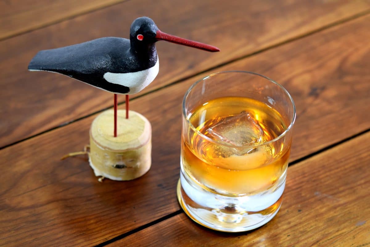 Different types of gin— explained by The GIN is IN