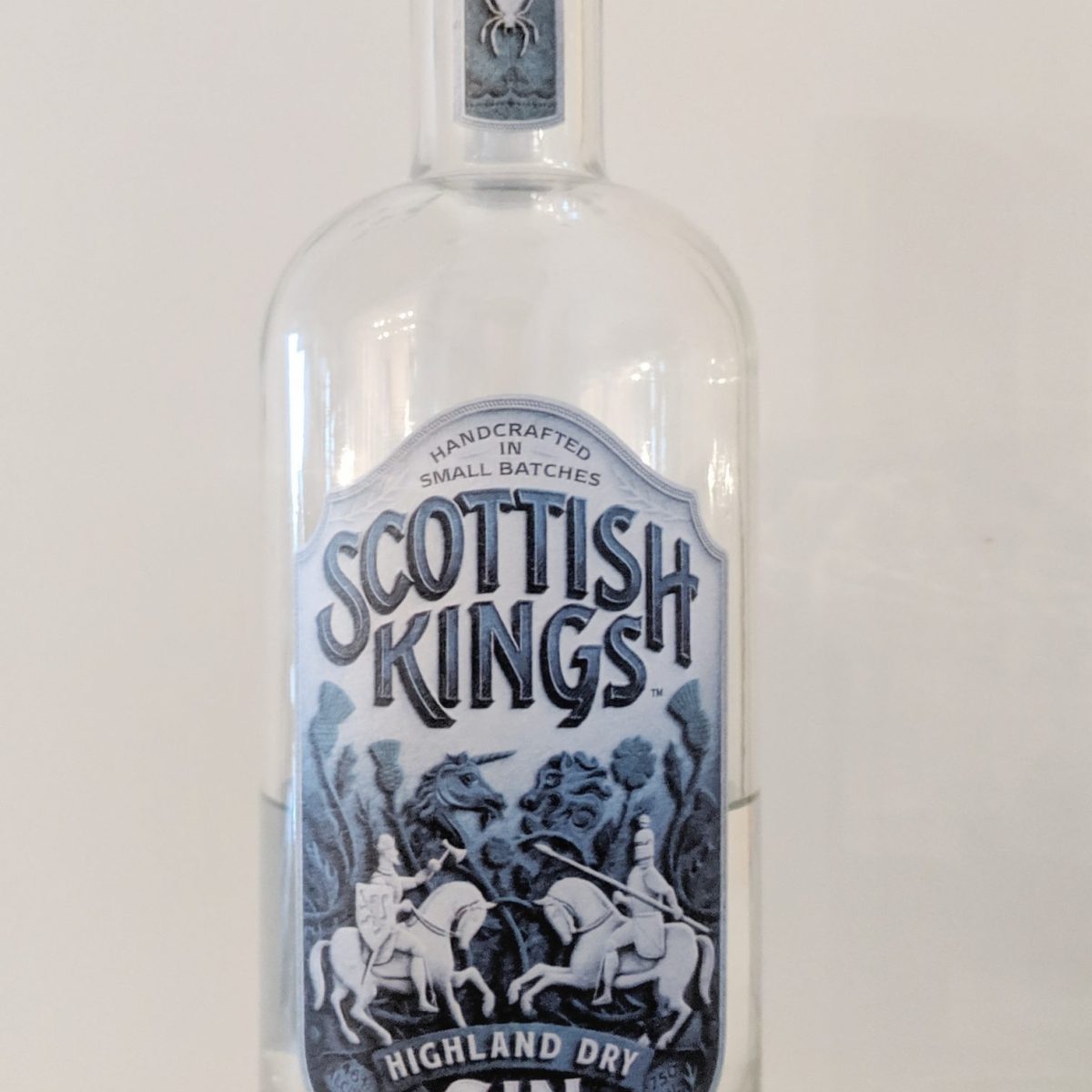 Classic Style Gin | The GIN is IN