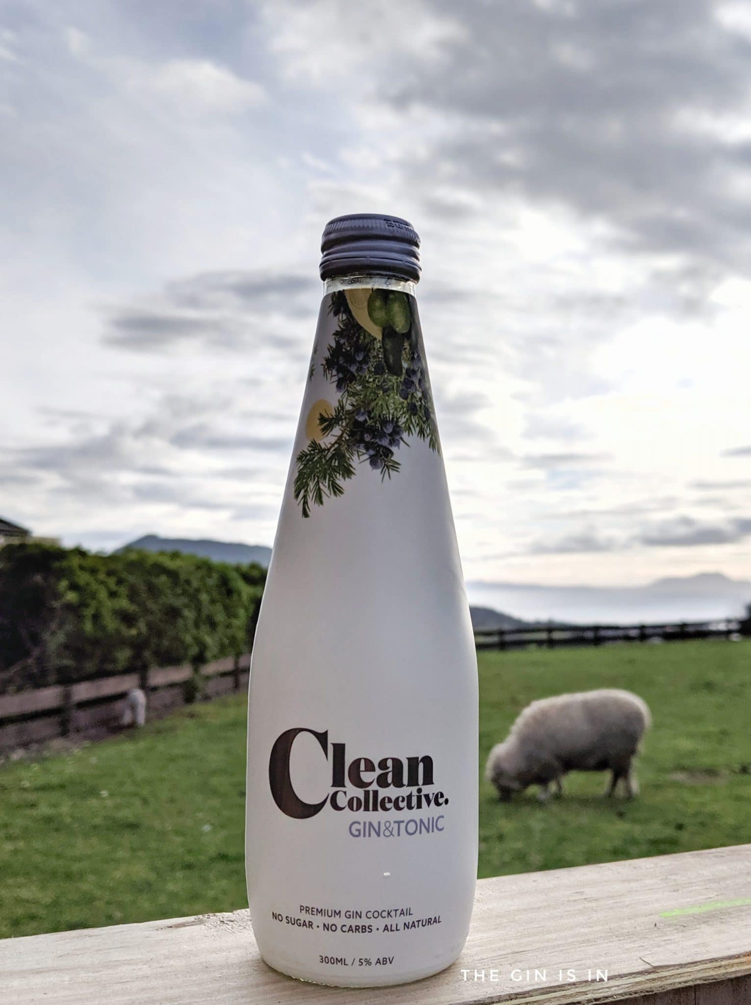 Clean Collective Gin and Tonic | RTD Review and Tasting Notes