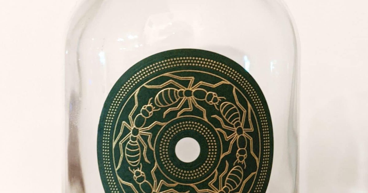 Australian Green Ant Gin | Expert Gin Review and Tasting Notes