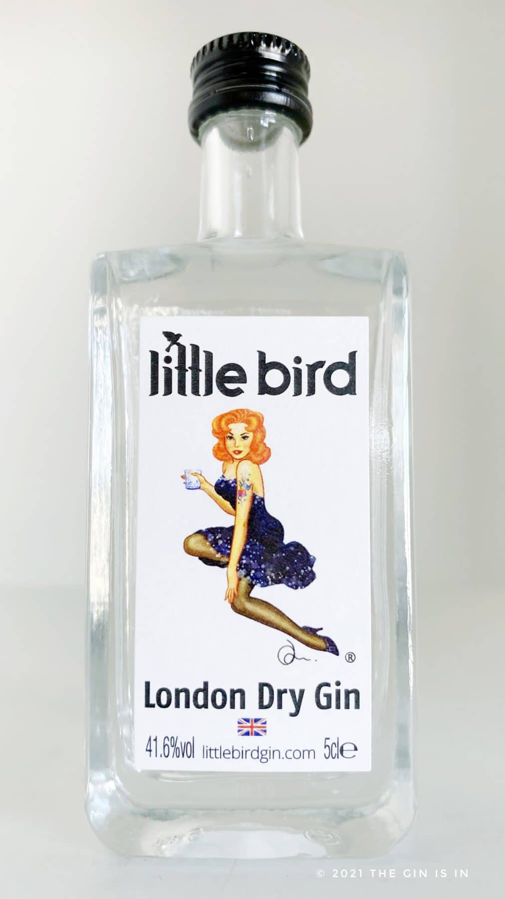 Contemporary Gin | The GIN is IN