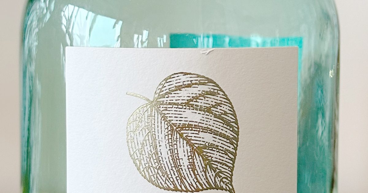 Linden Leaf 88 Molecular Gin | Expert Gin Review and Tasting Notes